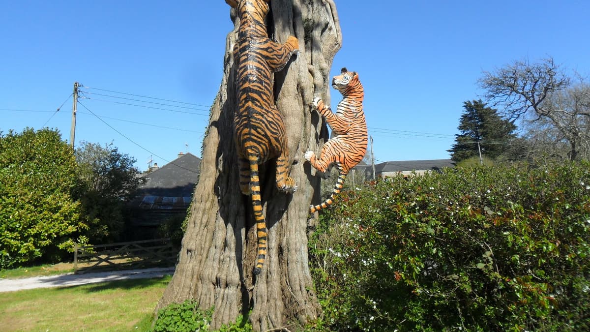Animal sculptures placed around Totnes | totnes-today.co.uk