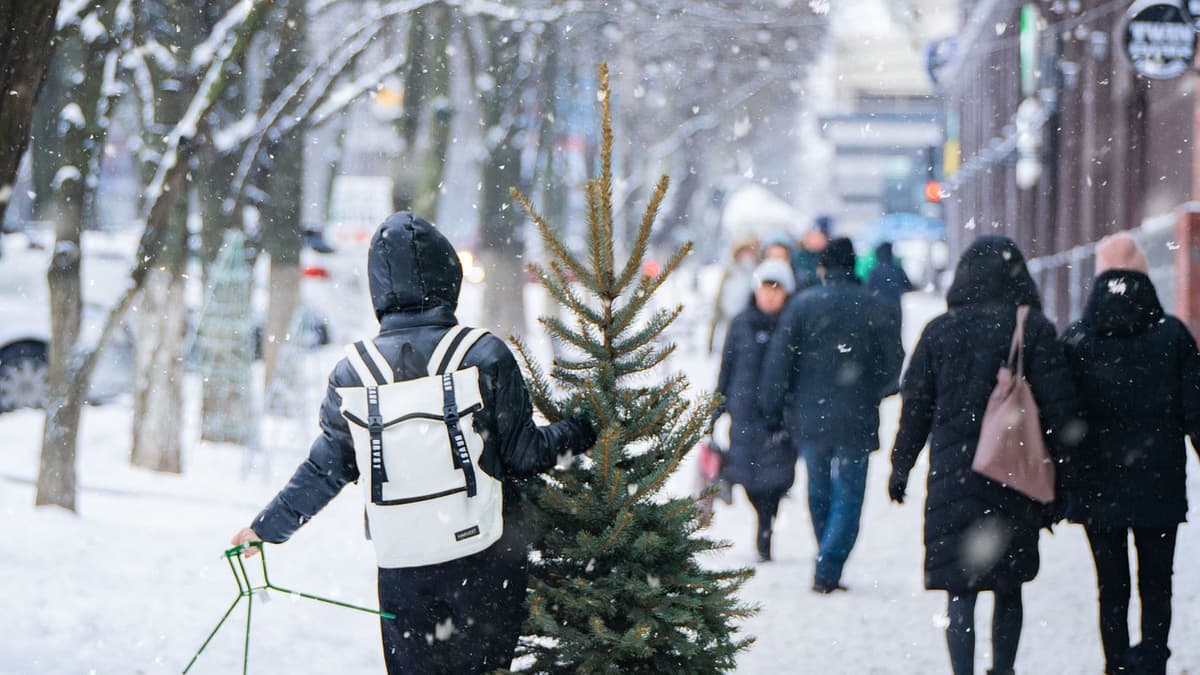 Ideas of things to do between Boxing Day and New Years Eve | totnes ...