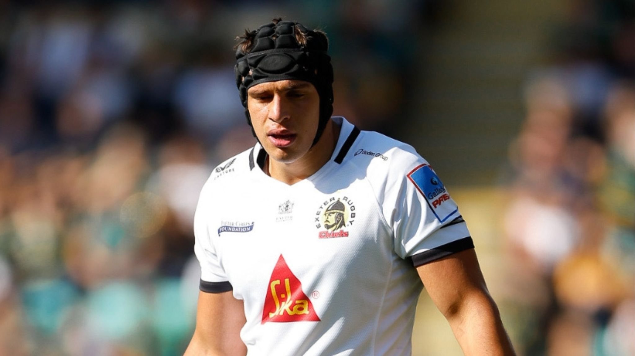 Totnes Times - local news at the heart of the community